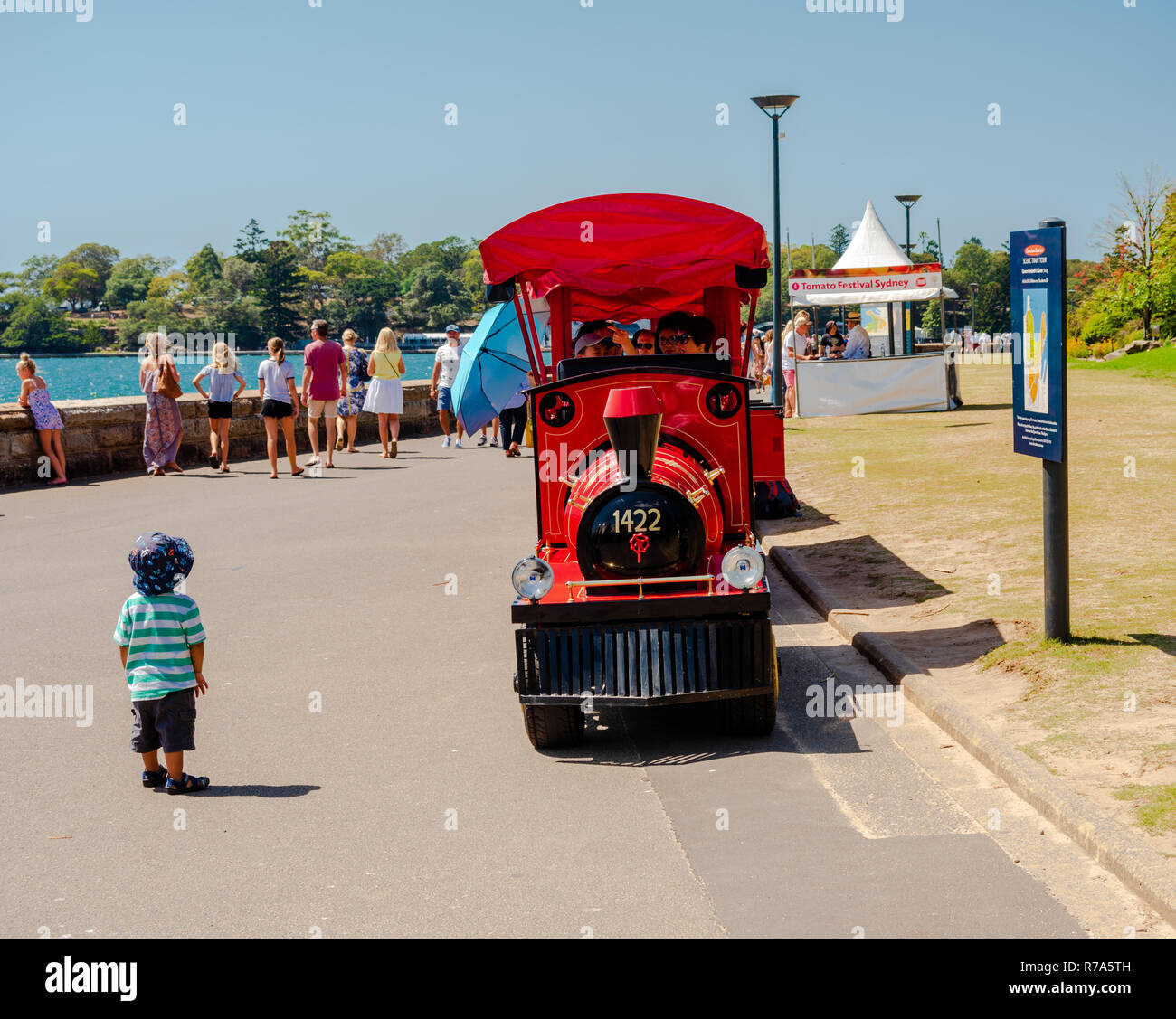 Sydney, Australia--February 17, 2018. Photo of a little boy looking at ...