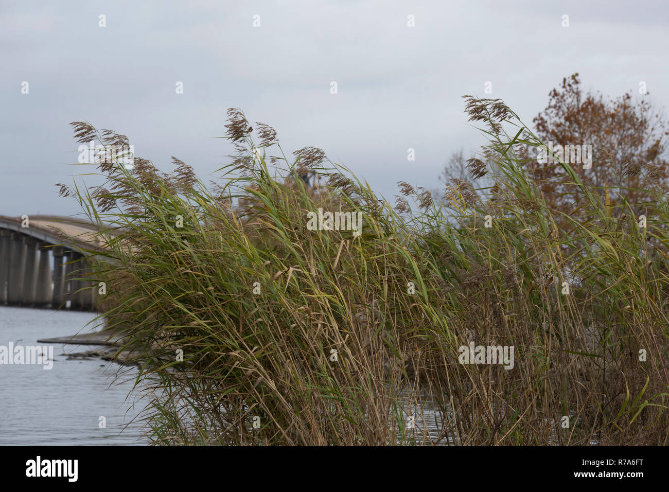 Overpass over Water Stock Photo - Alamy