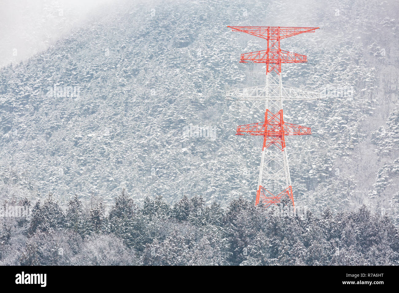 electric pole Power post with winter Landscape of Pine Forest at Nagano ...