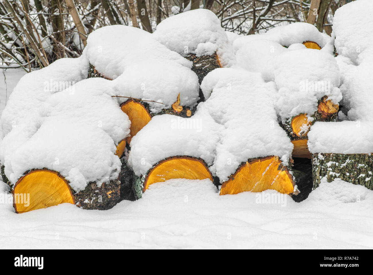 Woodpile stacked of firewood under the snow. Stack of cut wood under ...