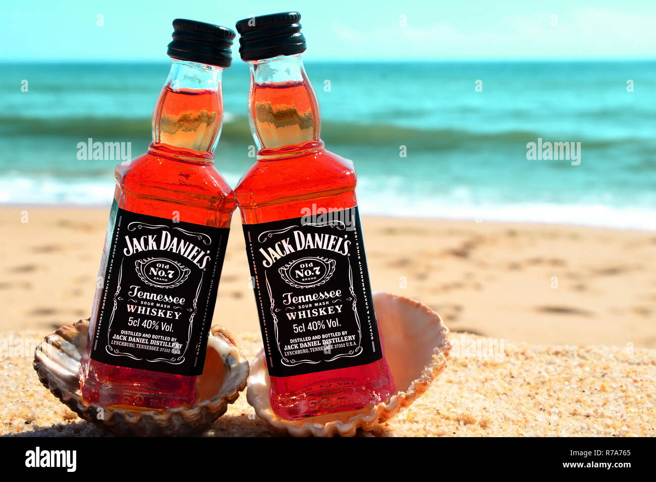Sea shells in portugal hi-res stock photography and images - Alamy
