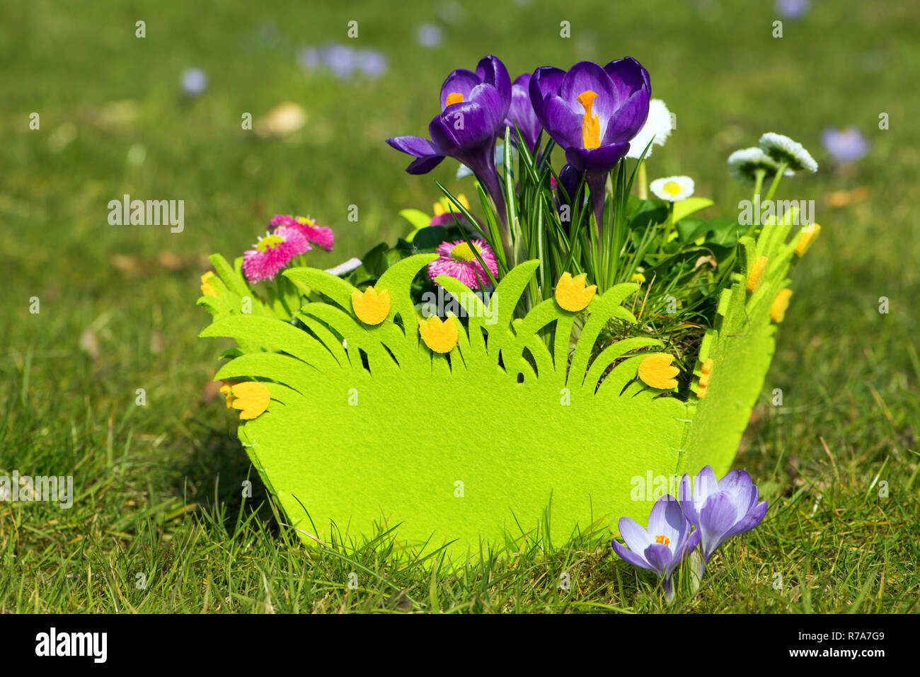 Easter basket with spring flowers Stock Photo - Alamy