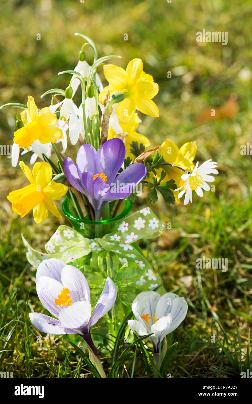 Spring flowers on nature background Stock Photo - Alamy