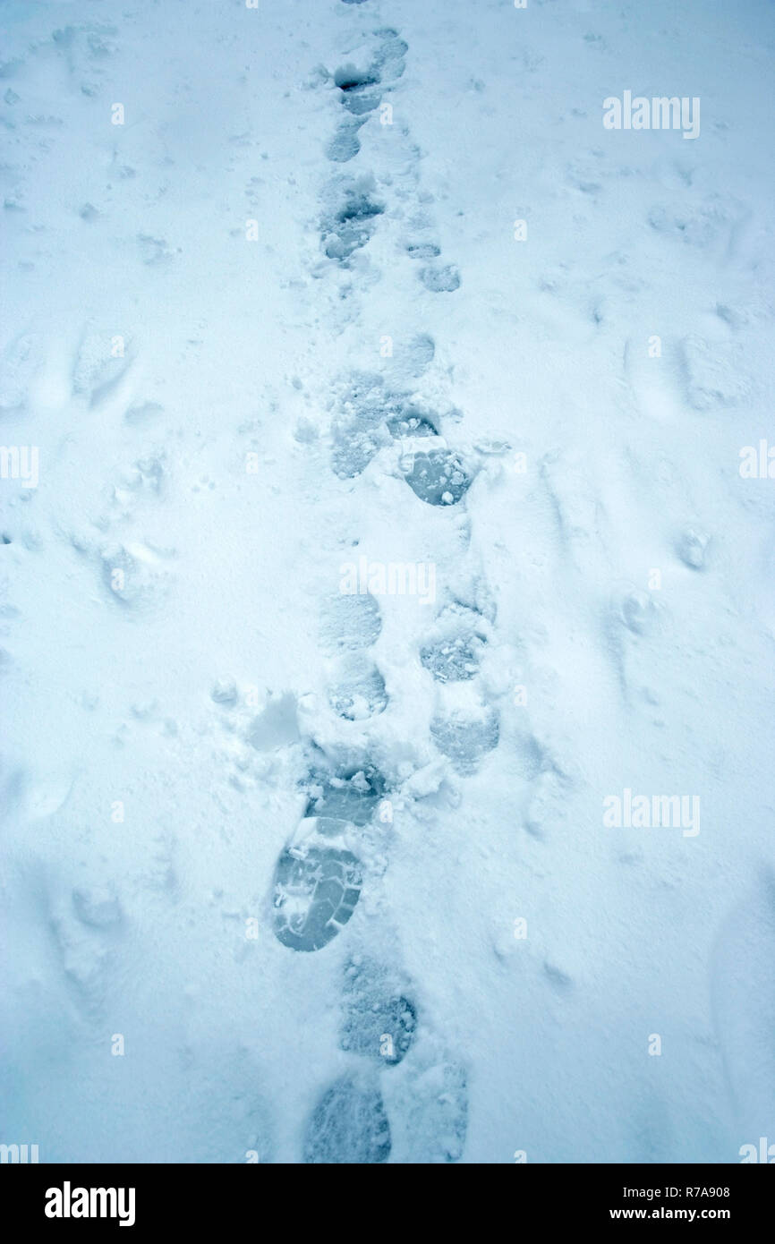 Outdoor foot prints on the snowy ground hi-res stock photography and ...