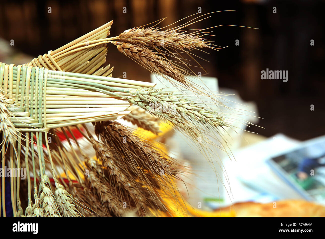 traditional christmas tree diduh didukh made with the latest ears of ...
