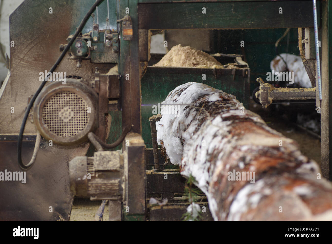 Cutting logs on the boards. In the winter process a tree.Wood ...