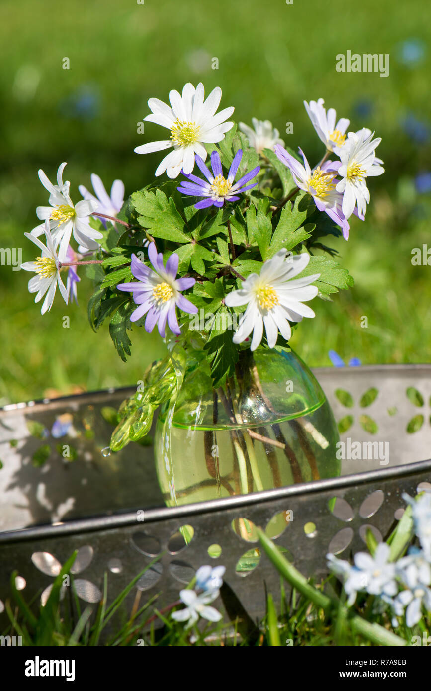 Spring flowers on nature background Stock Photo - Alamy