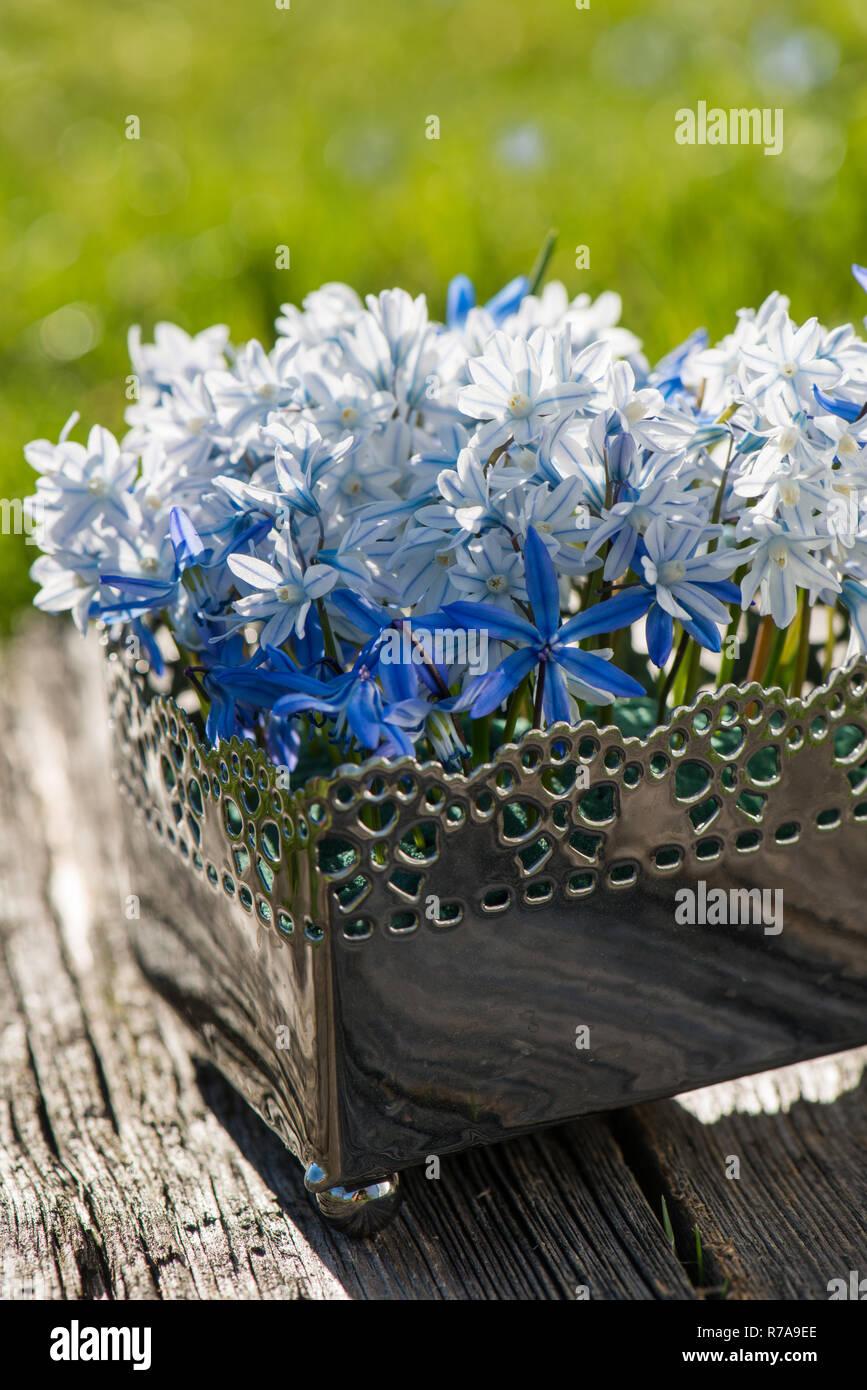 Blue asterisk hi-res stock photography and images - Alamy