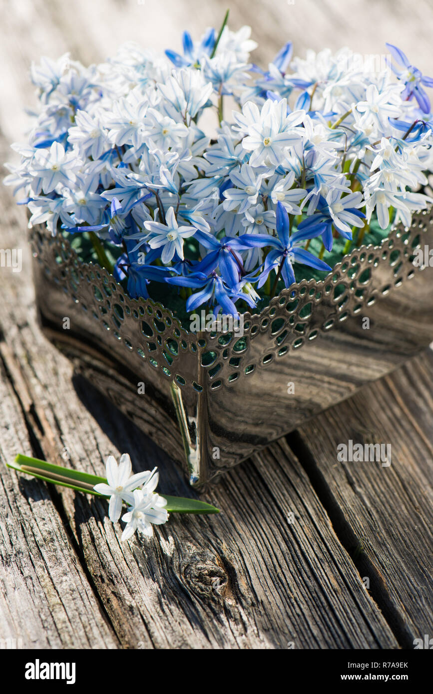 Blue asterisk hi-res stock photography and images - Alamy