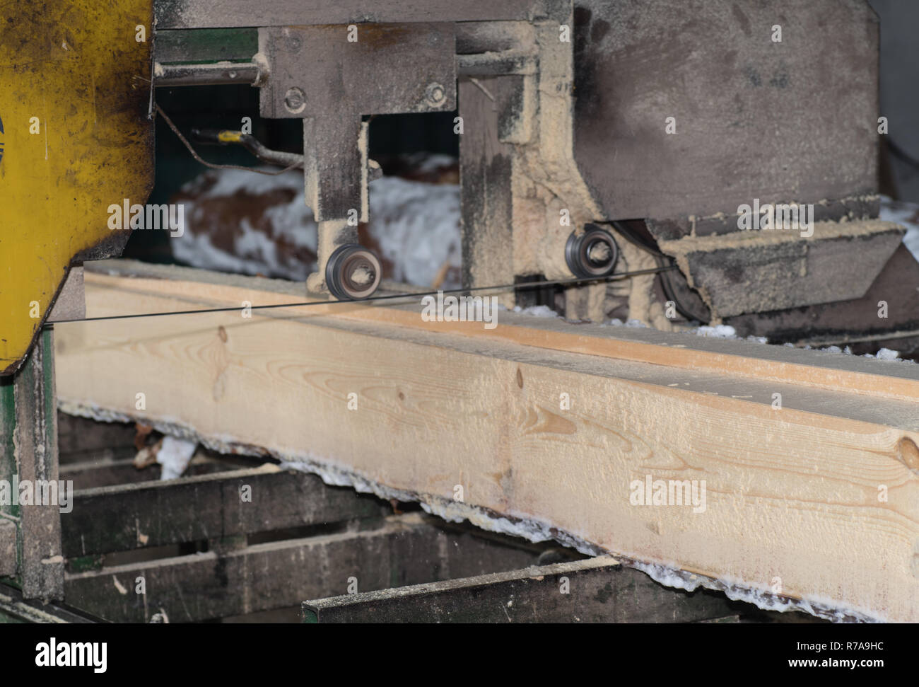 Cutting logs on the boards. In the winter process a tree.Wood ...