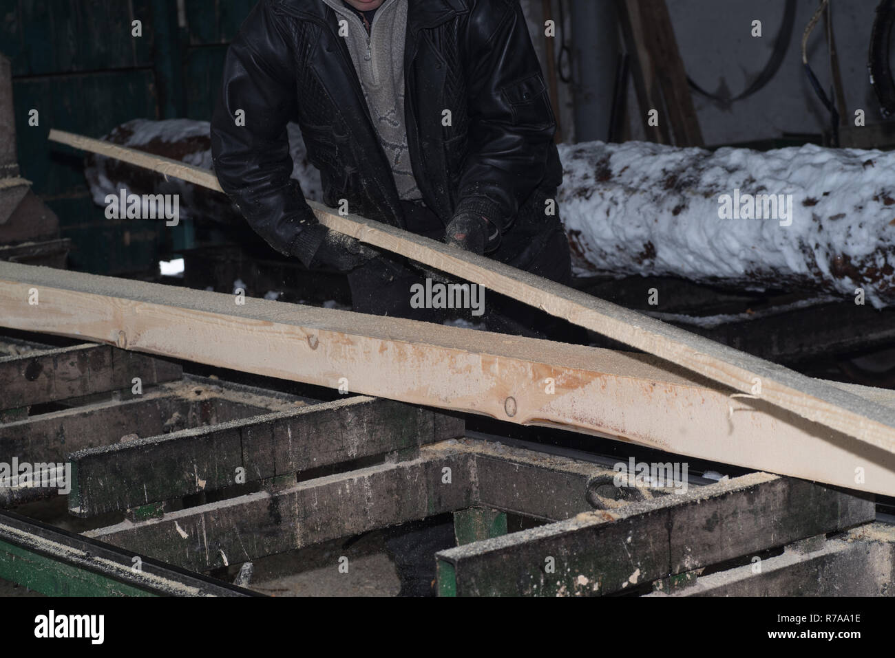 Cutting logs on the boards. In the winter process a tree.Wood ...