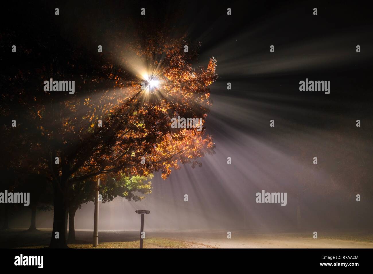 Brilliant burst of light from a street lamp blasti Stock Photo - Alamy