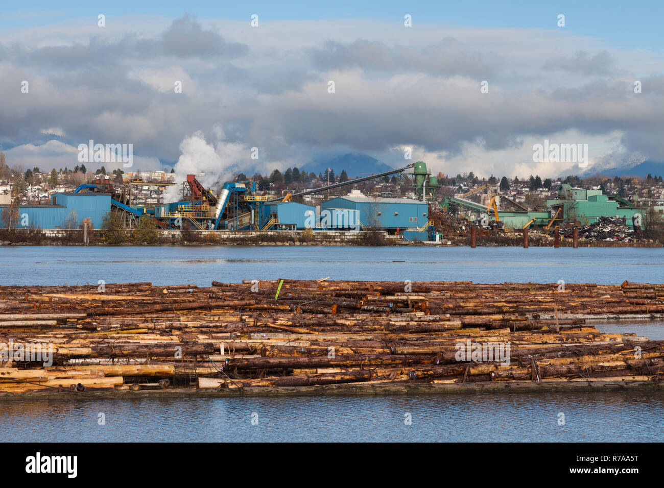 Raw logs awaiting processing at a processing facility on the Fraser ...
