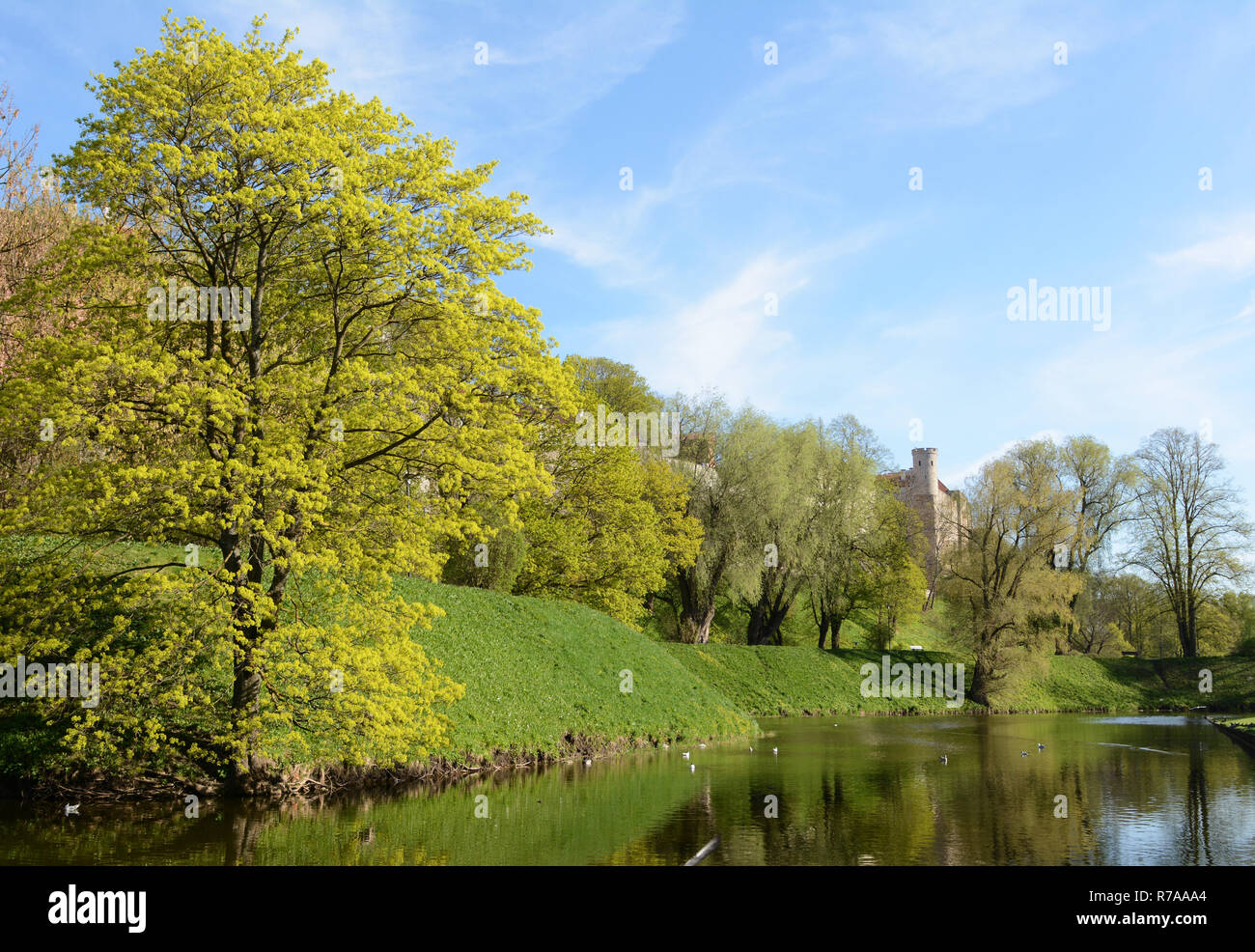 Snelli Tiik pond in Tallinn, capital of Estonia Stock Photo - Alamy