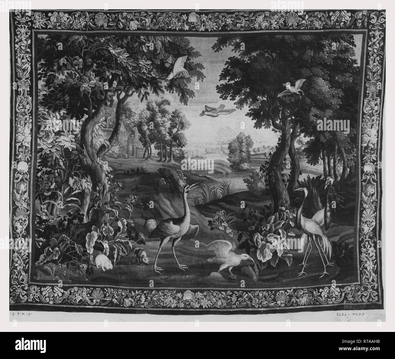 Landscape with birds and rodents Stock Photo - Alamy