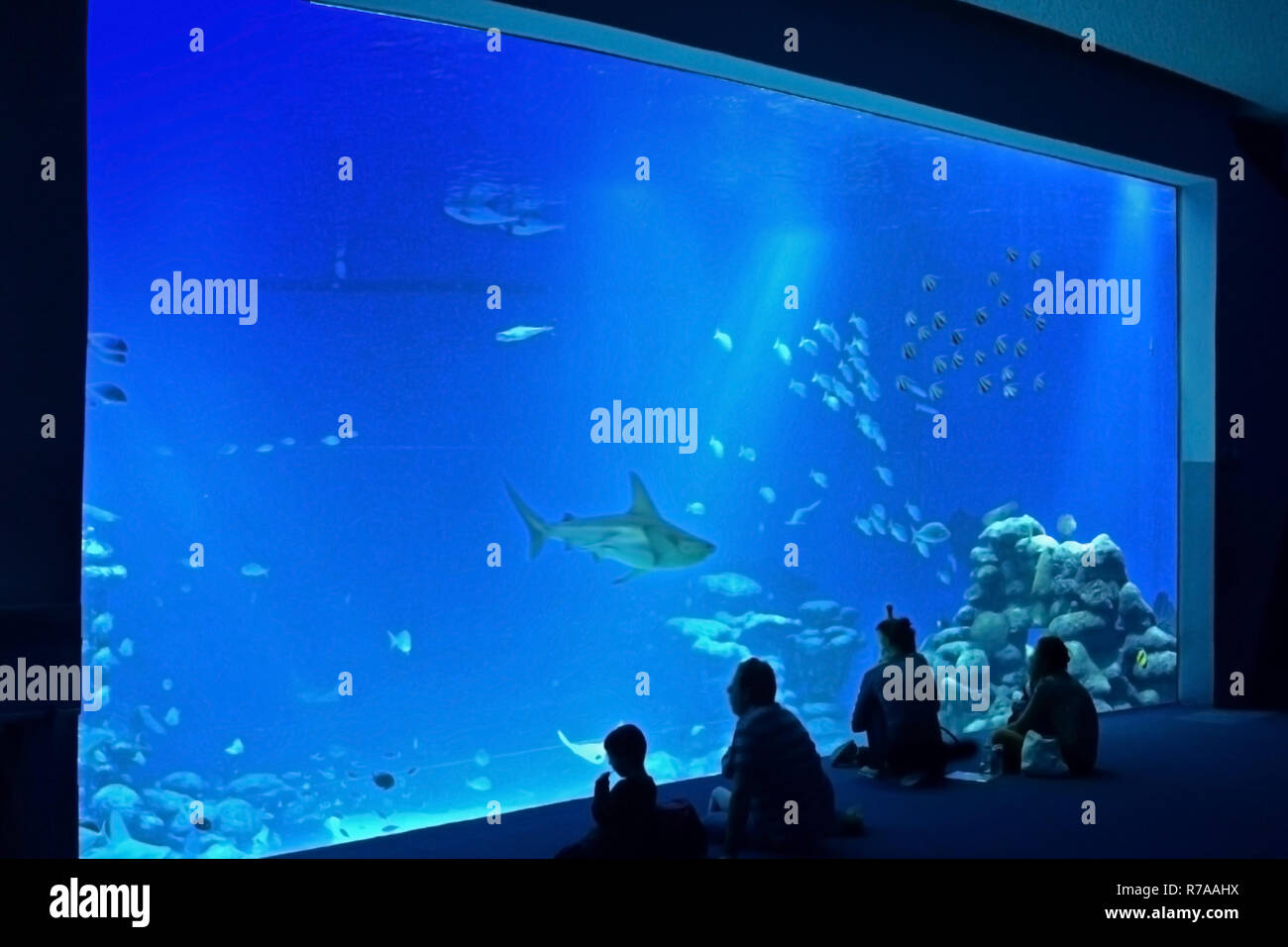 blurred People are sitting in a room on the floor in front of a huge ...