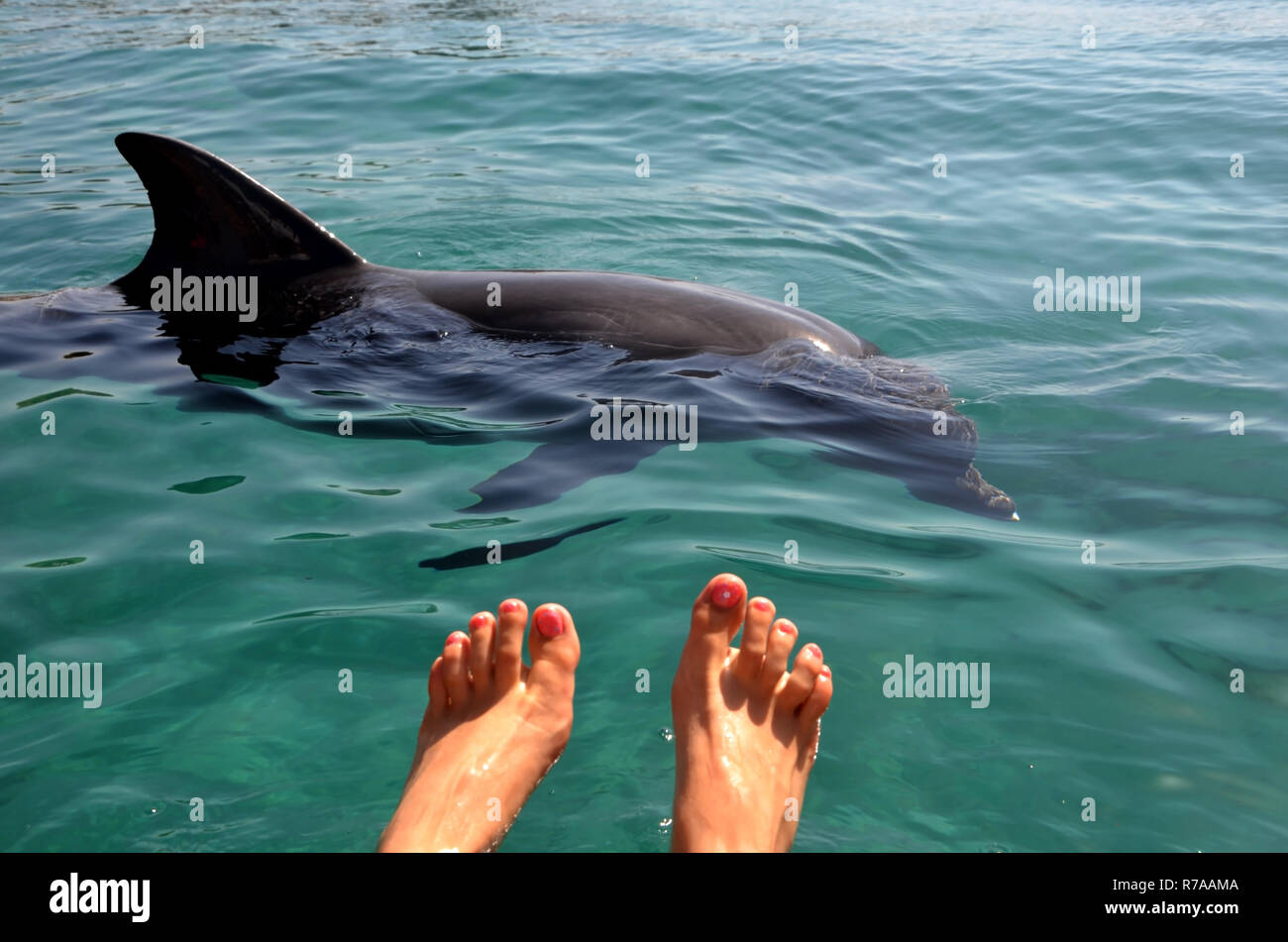 Feet underwater in pool hi-res stock photography and images - Alamy