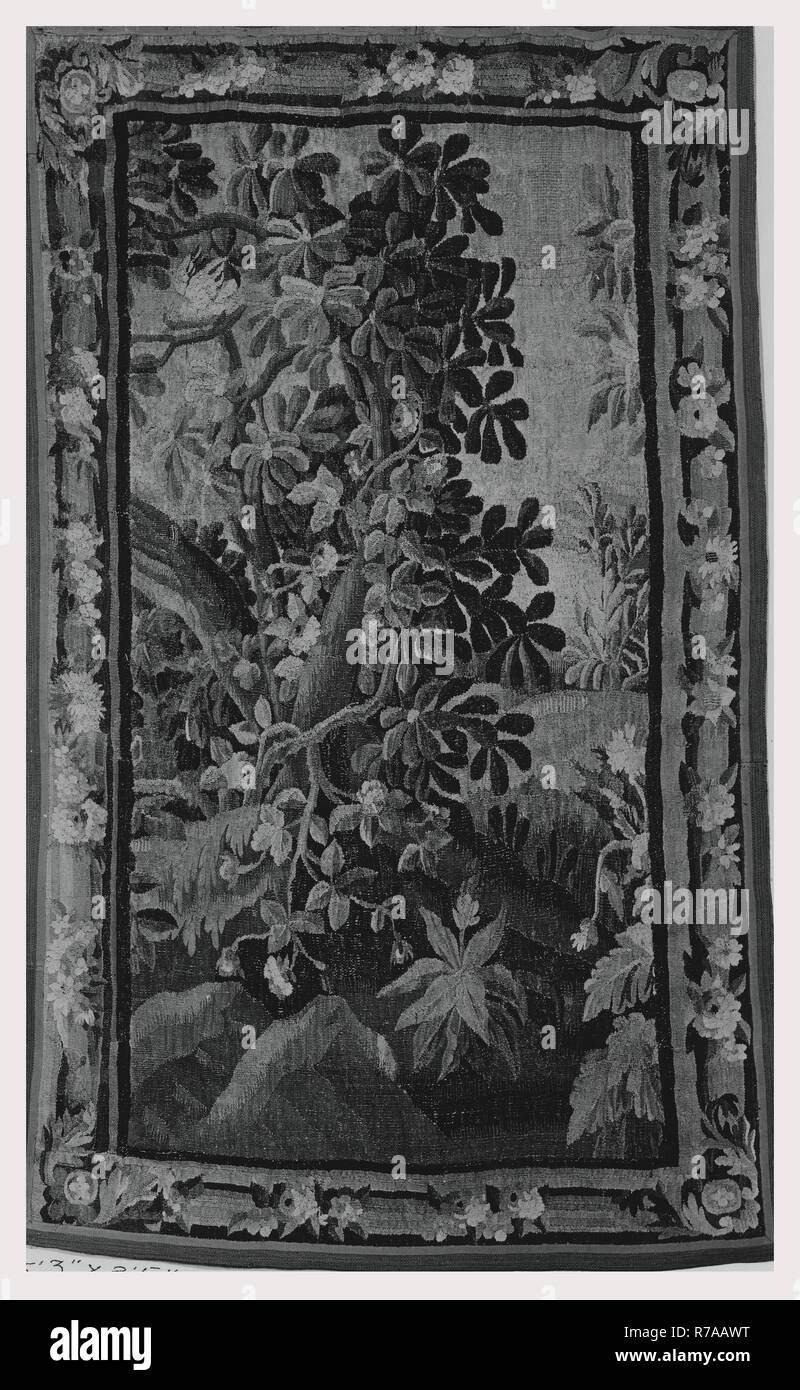 Landscape with vine-covered tree Stock Photo - Alamy