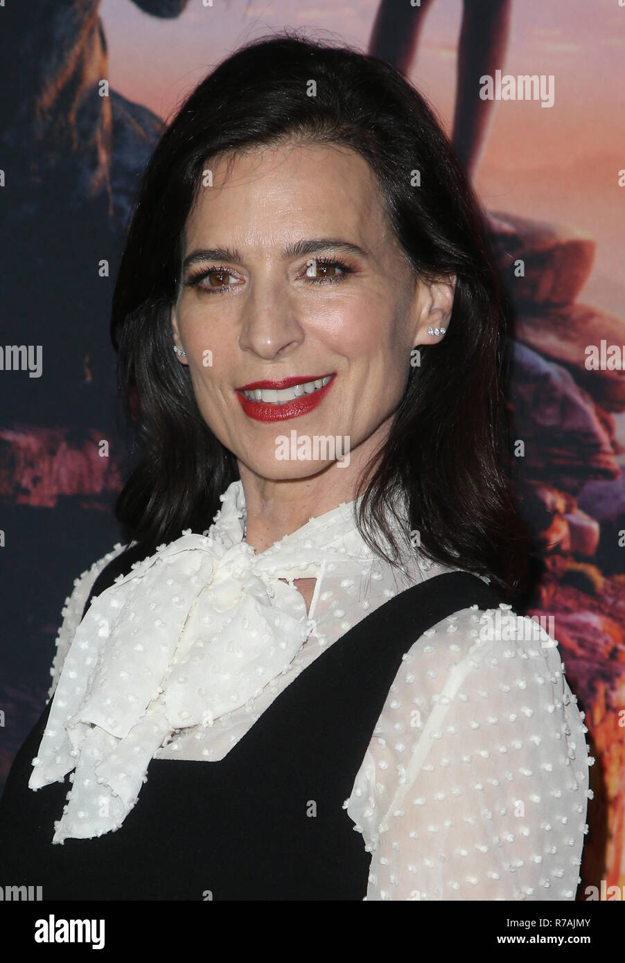 Los Angeles, California, USA. 28th Nov, 2018. Perrey Reeves during ...