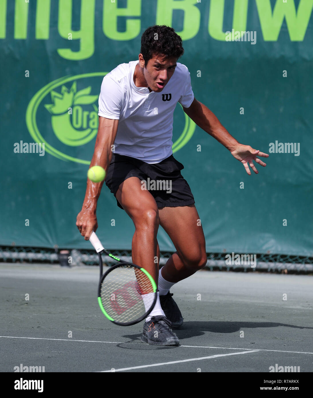 Veltri hi-res stock photography and images - Alamy