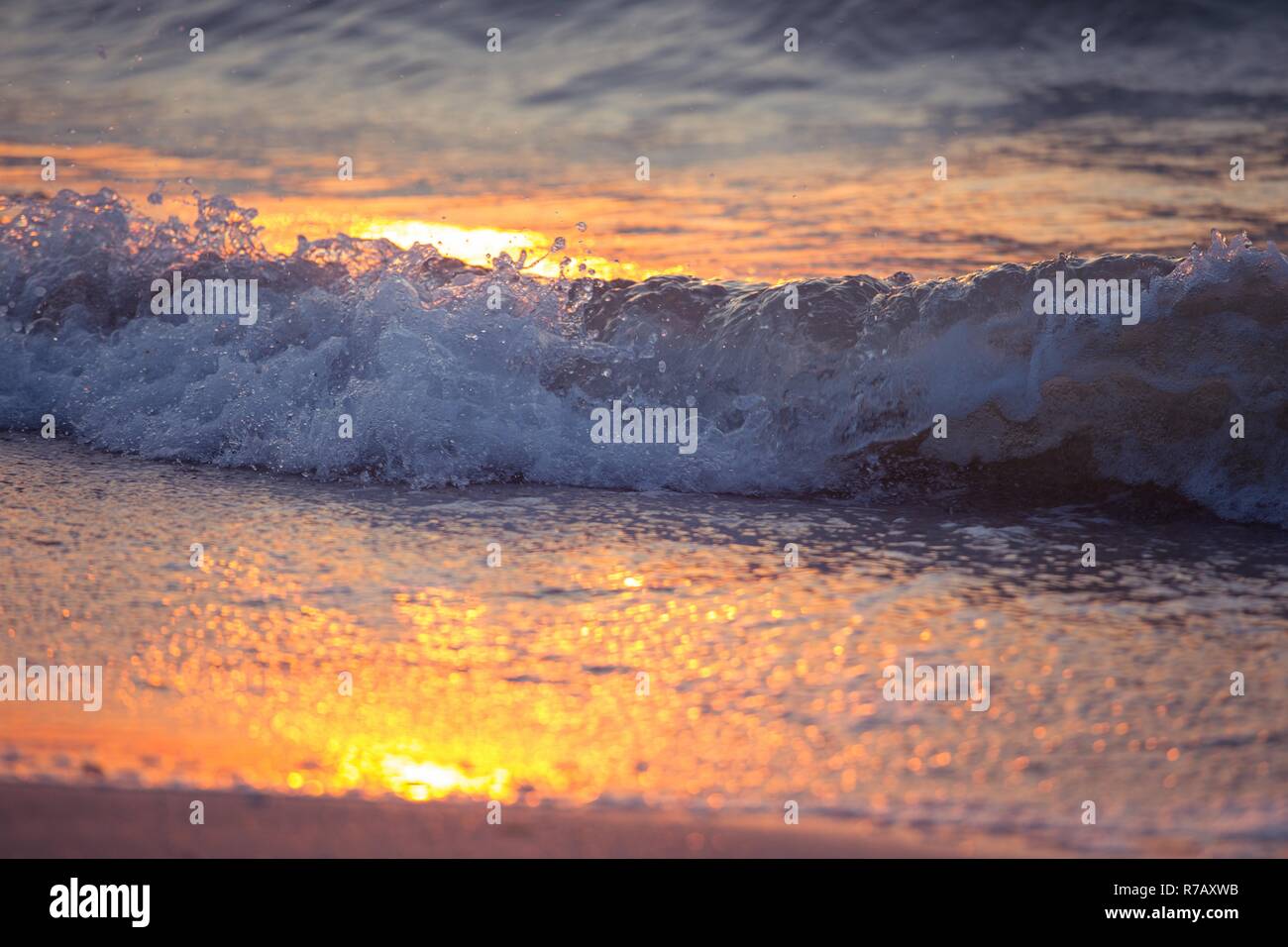 wave in the rays of the dawn sun, ocean Stock Photo - Alamy