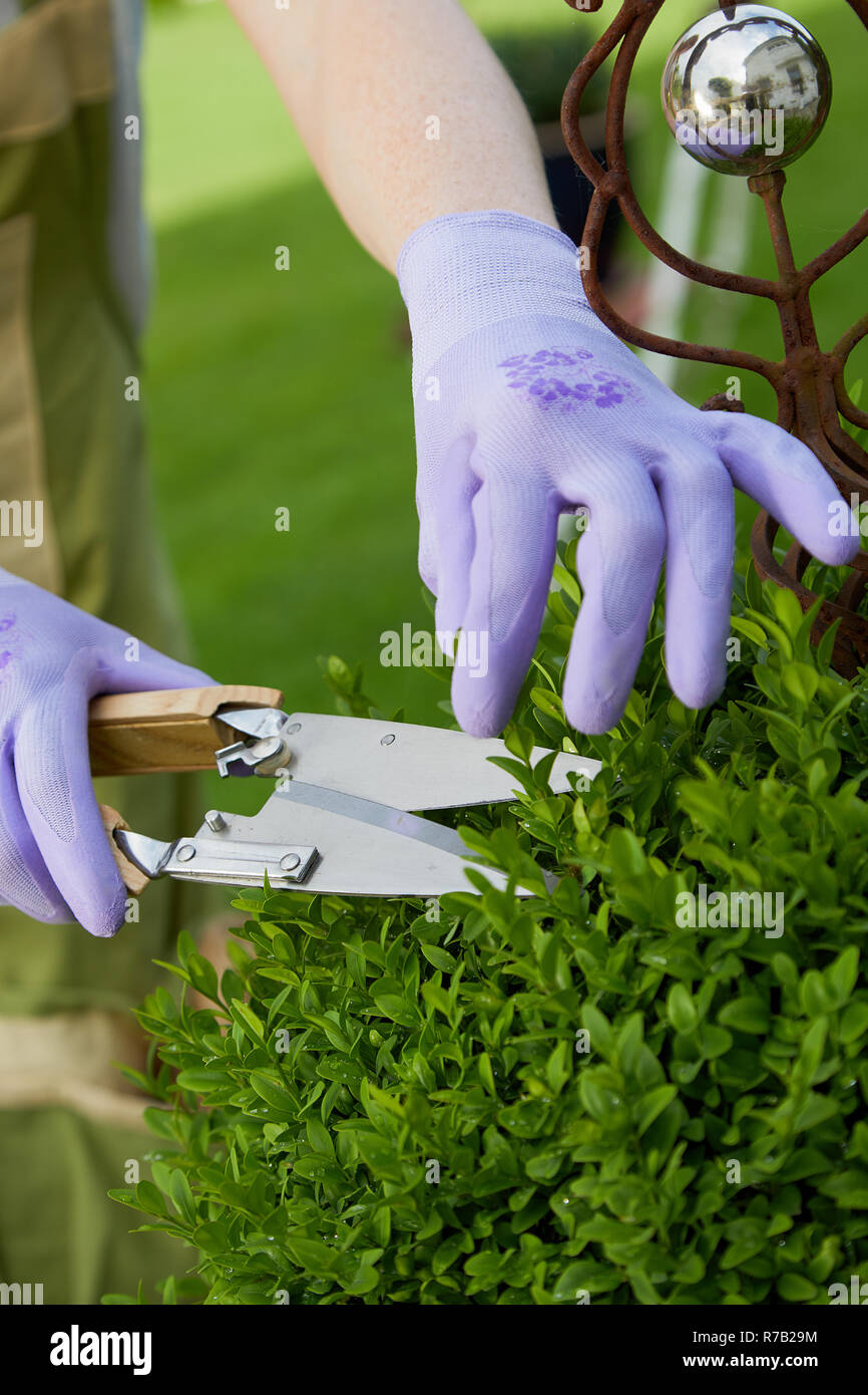 Snipping tree hi-res stock photography and images - Alamy