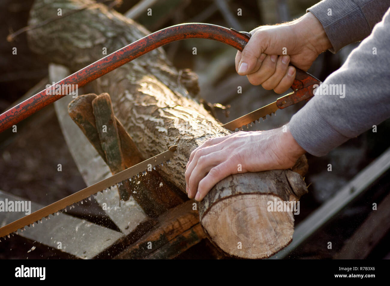 lumberjack cutting wood Stock Photo - Alamy