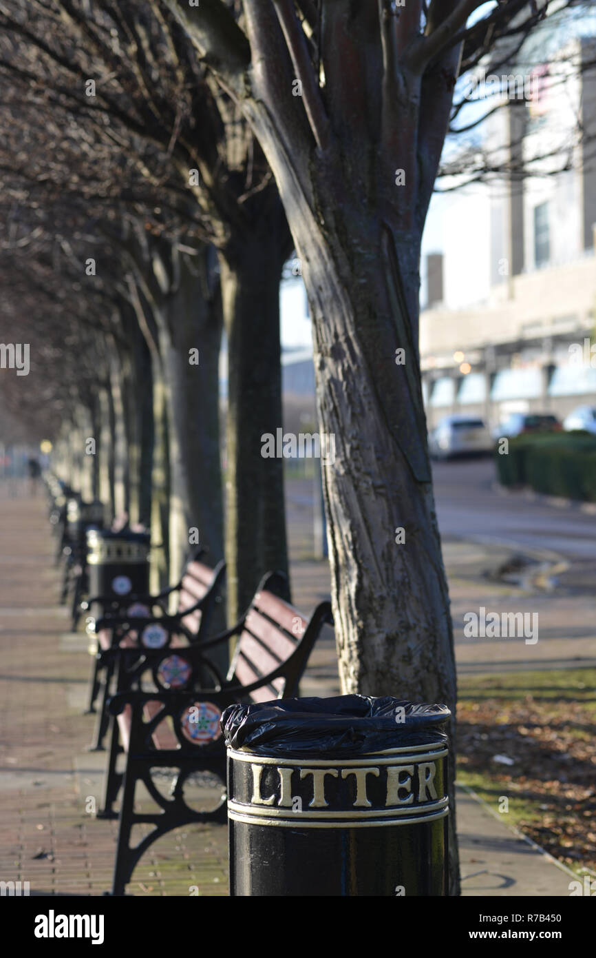 Litter bins and bench seats line up alongside trees with twisted tree ...