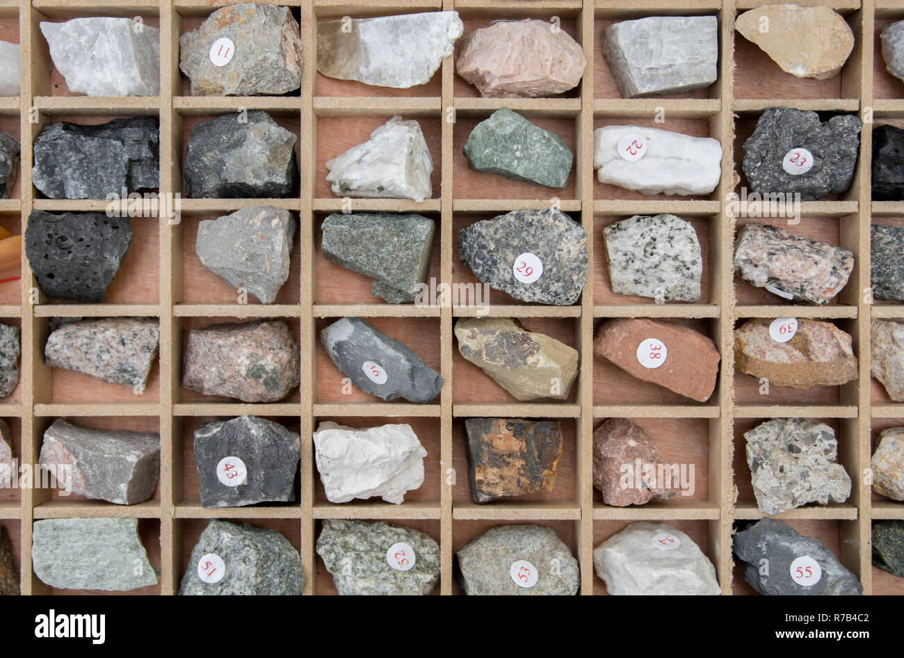 rocks and minerals inside of wooden case Stock Photo - Alamy