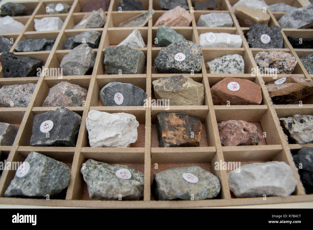 rocks and minerals inside of wooden case Stock Photo - Alamy