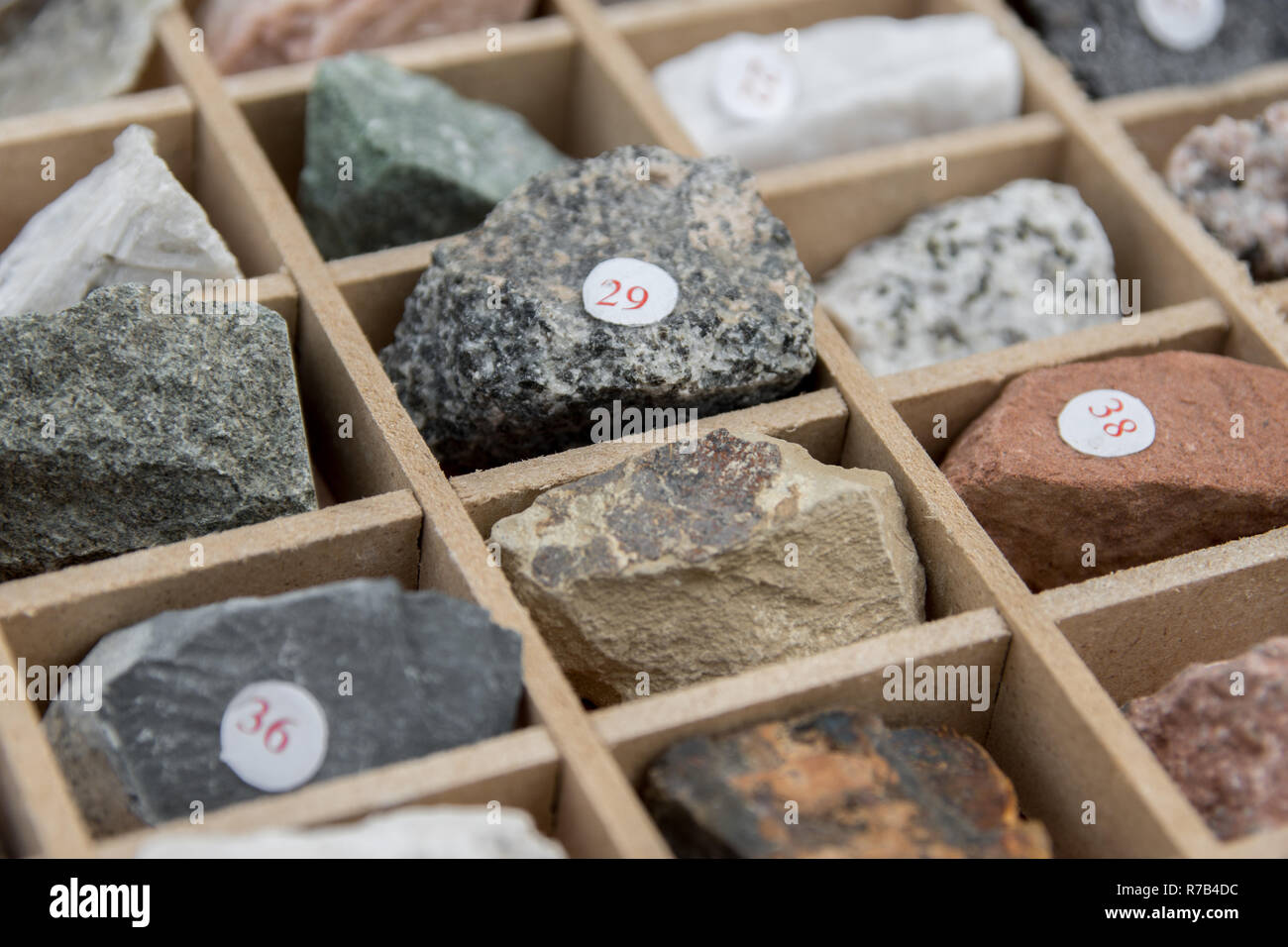 rocks and minerals inside of wooden case Stock Photo - Alamy
