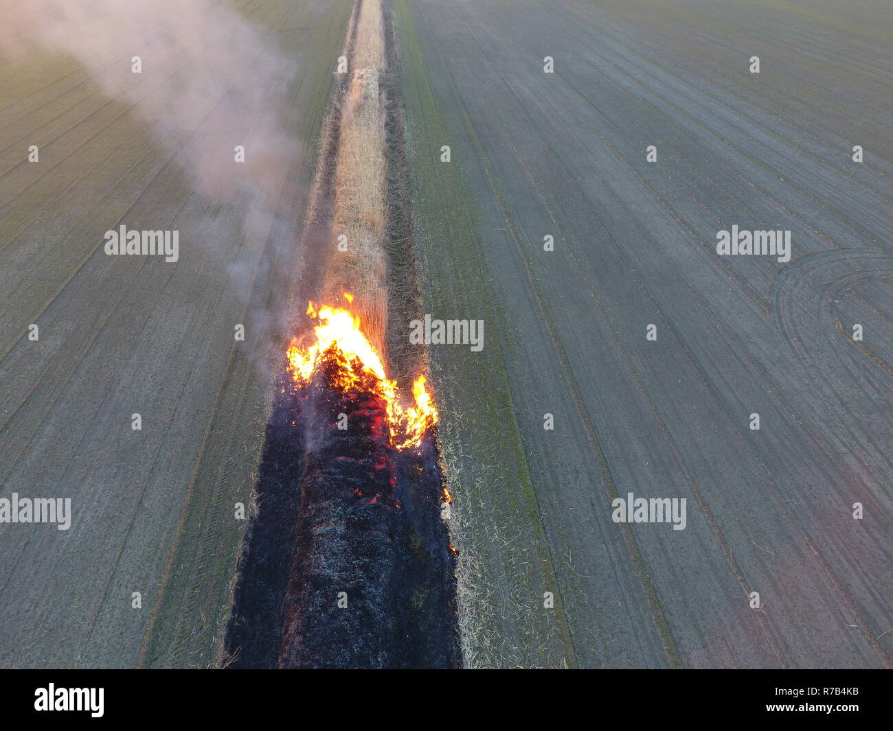 Burning dry grass along the irrigation canal. Smoke and the flame of ...
