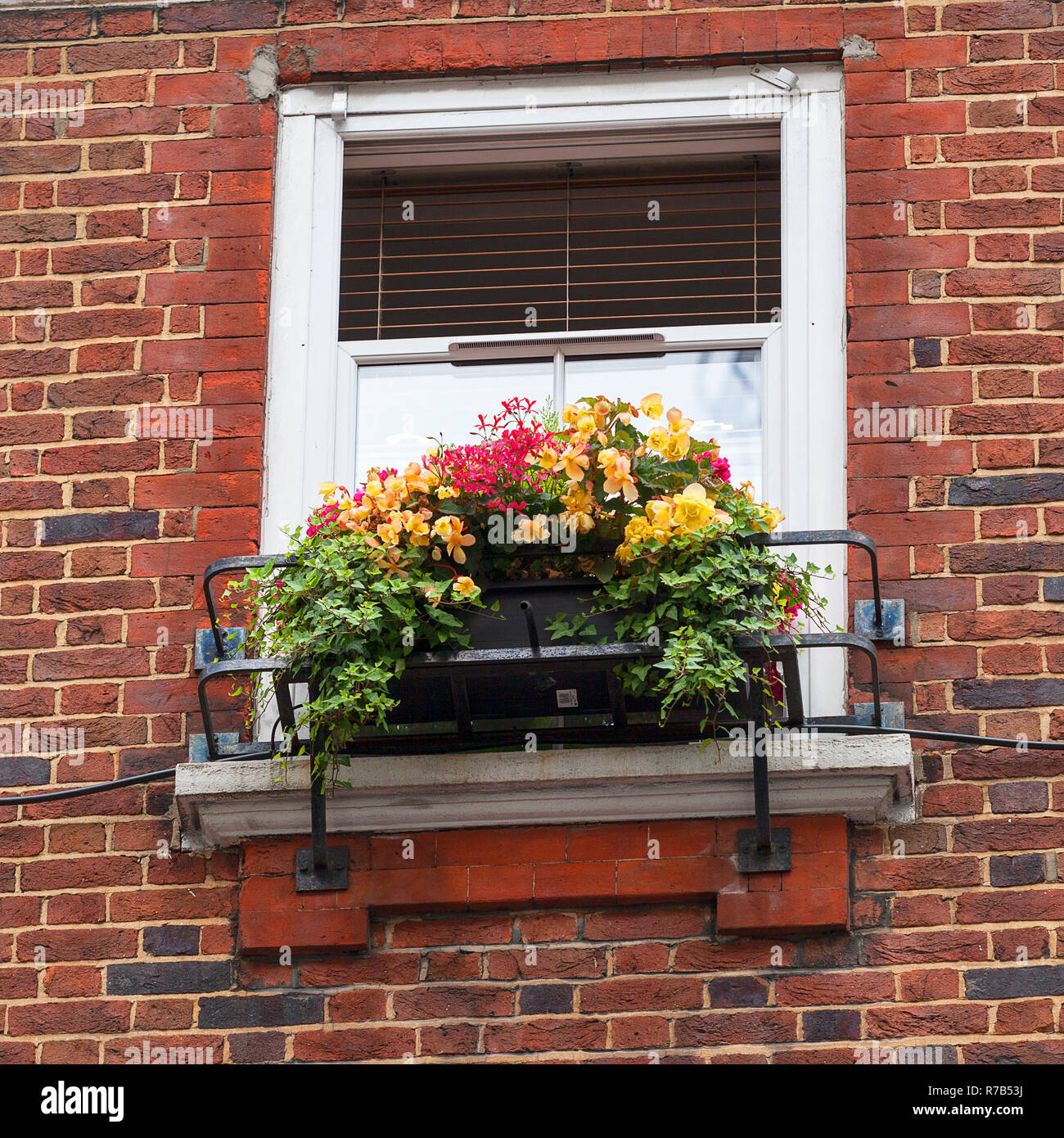 Window decorated with flowers, decorative greenery, typical view of the ...
