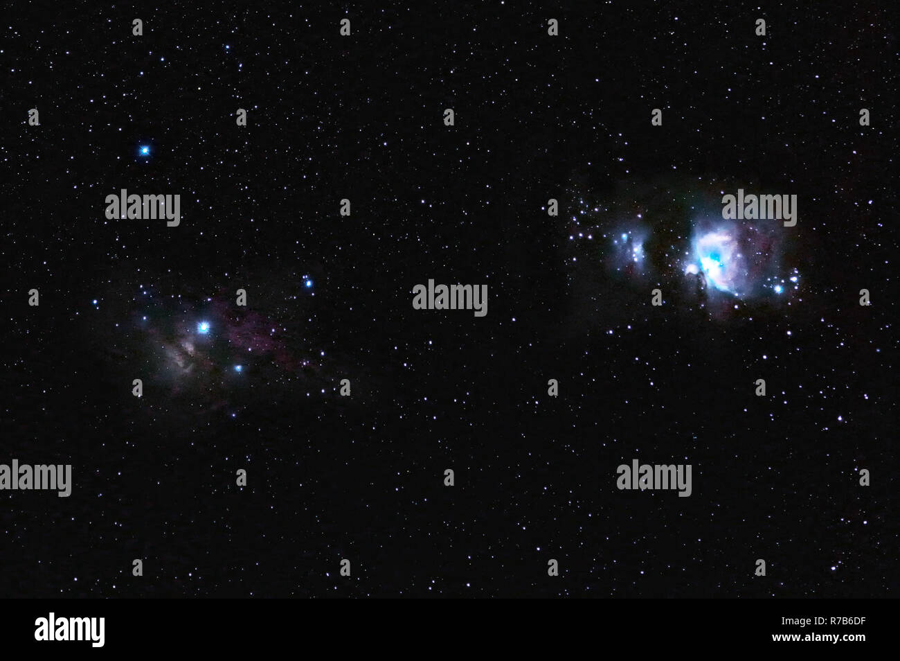 M42 and Horsehead Nebula Stock Photo - Alamy
