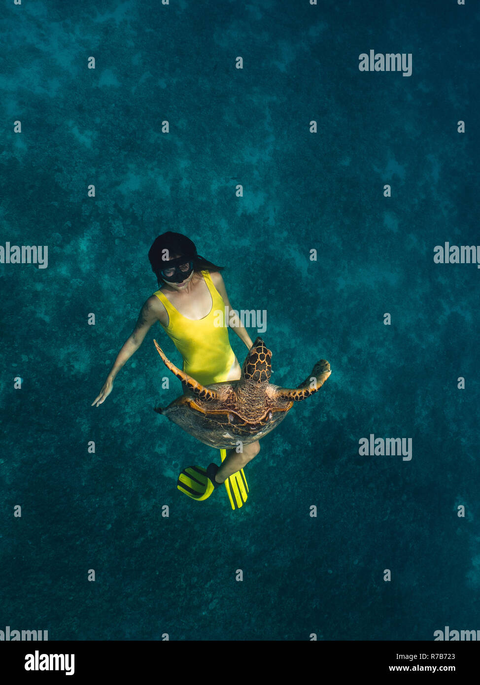 Seychelles turtle snorkel hi-res stock photography and images - Alamy