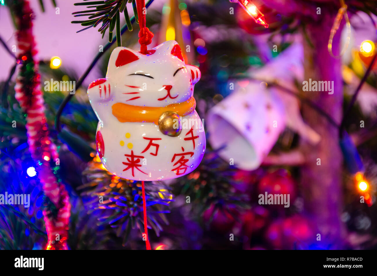 Cat hanging on tree hi-res stock photography and images - Alamy