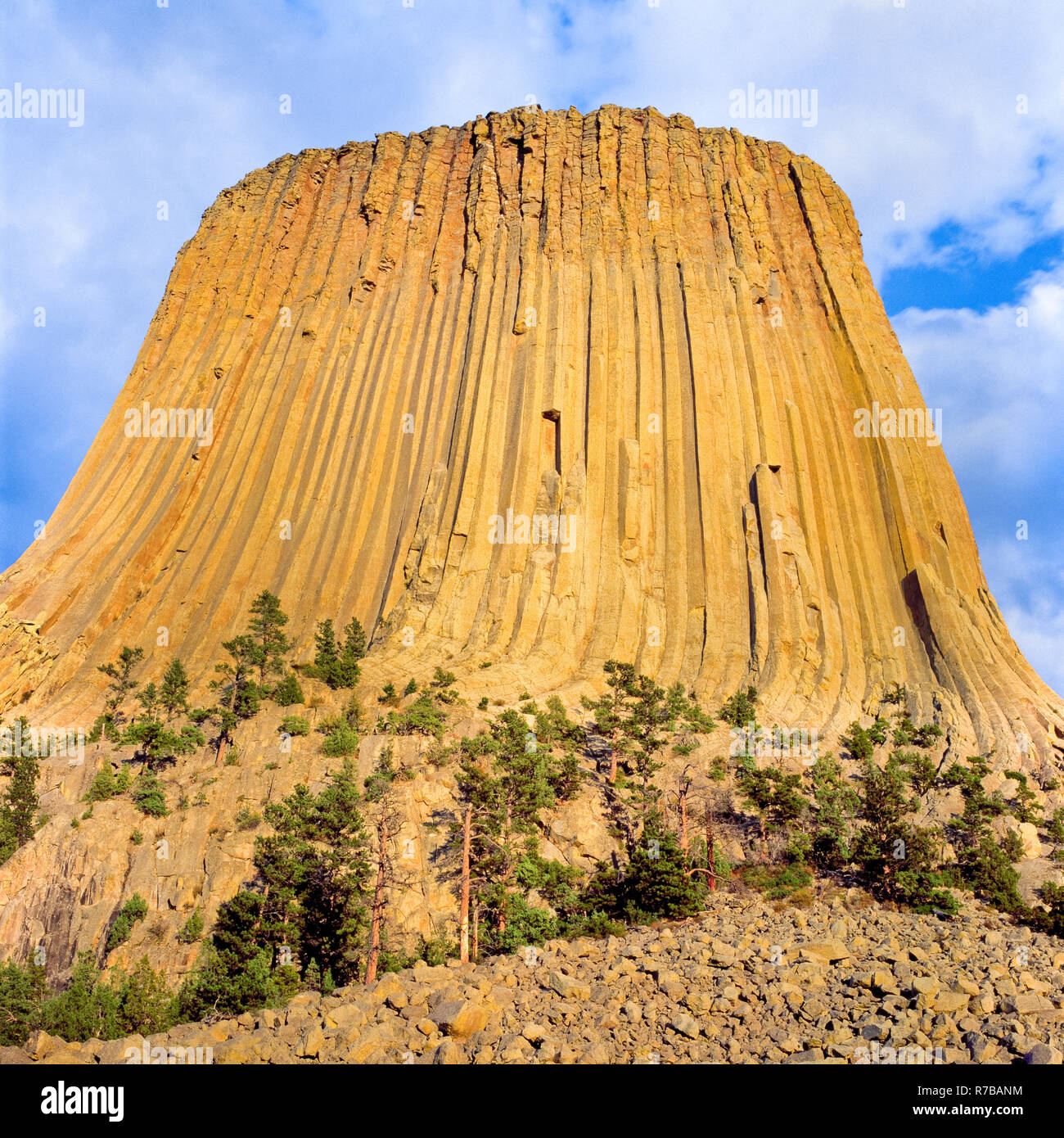 devils tower national monument in black hills national forest near ...