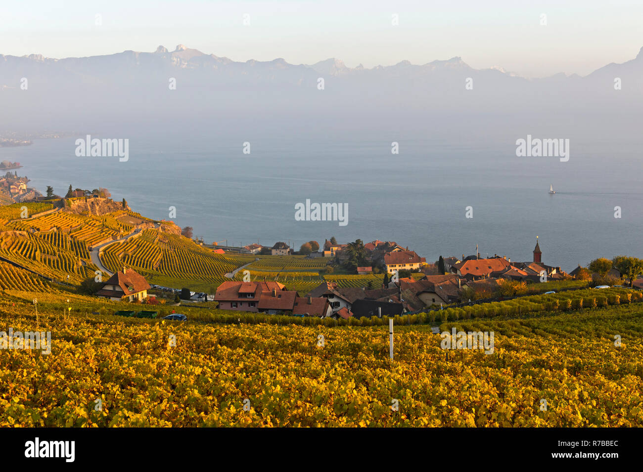 Rivaz Village High Resolution Stock Photography and Images - Alamy