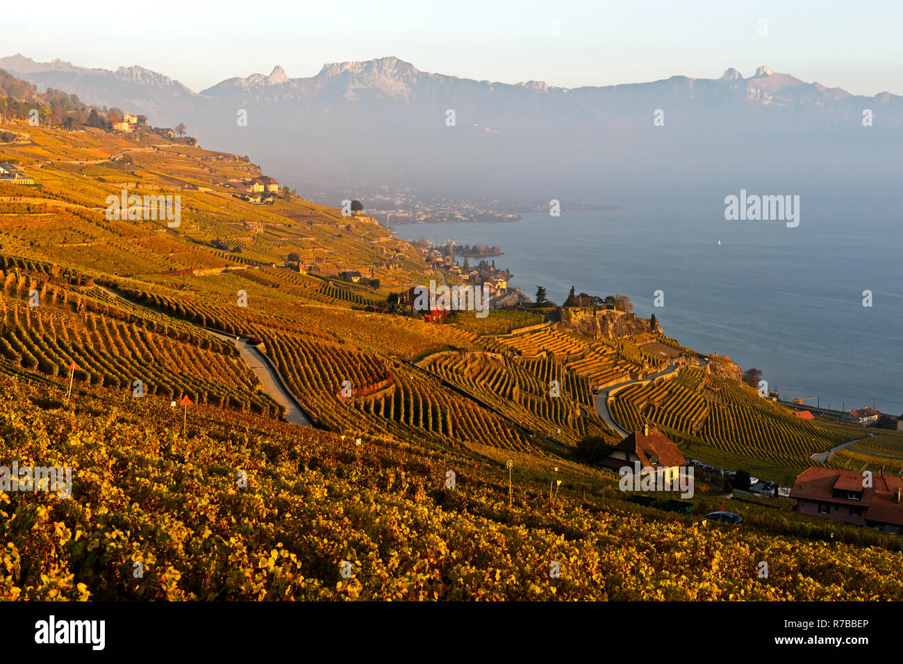 Lac village hi-res stock photography and images - Alamy
