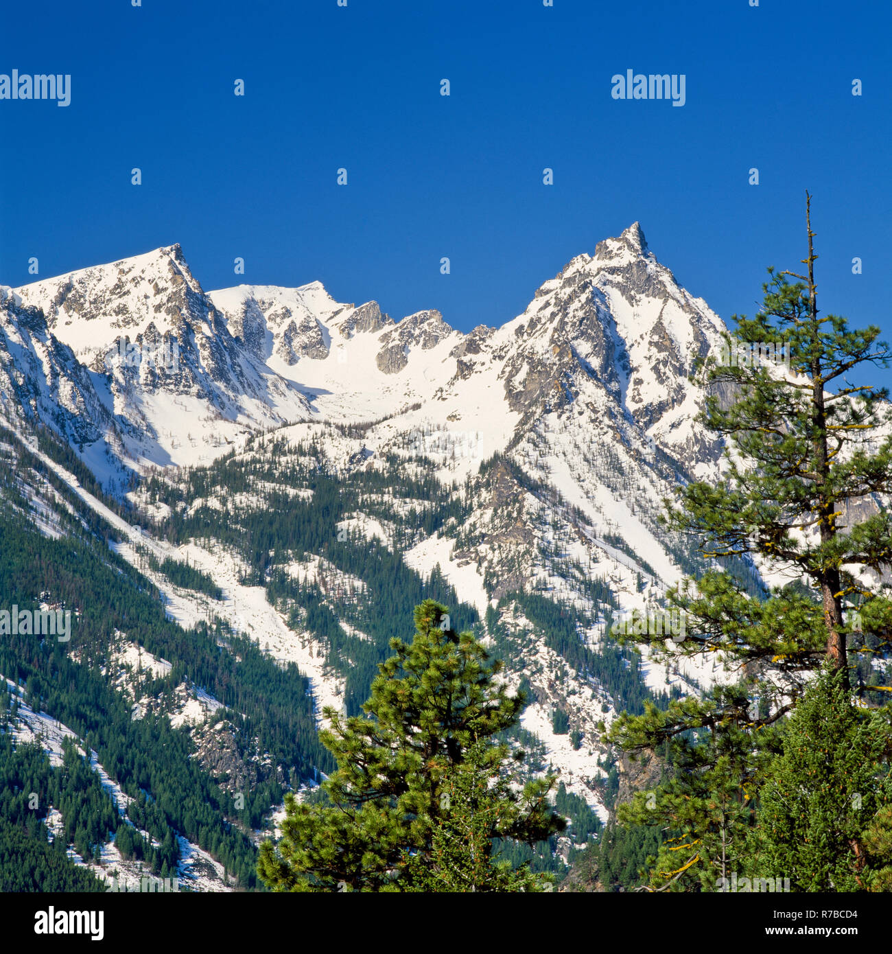 trapper peak in the bitterroot mountains near conner, montana Stock ...