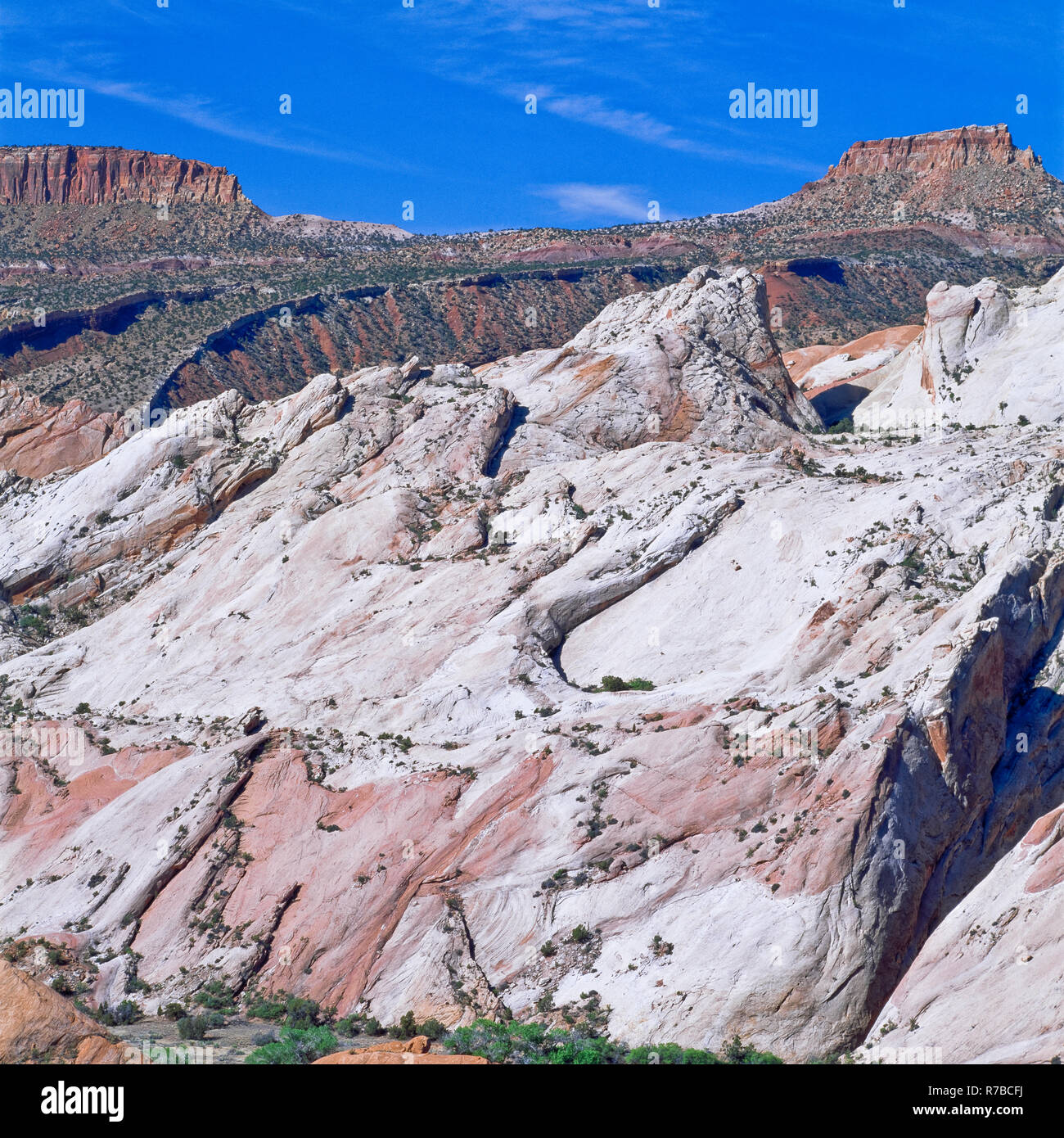 tilted strata of the waterpocket fold in capitol reef national park ...