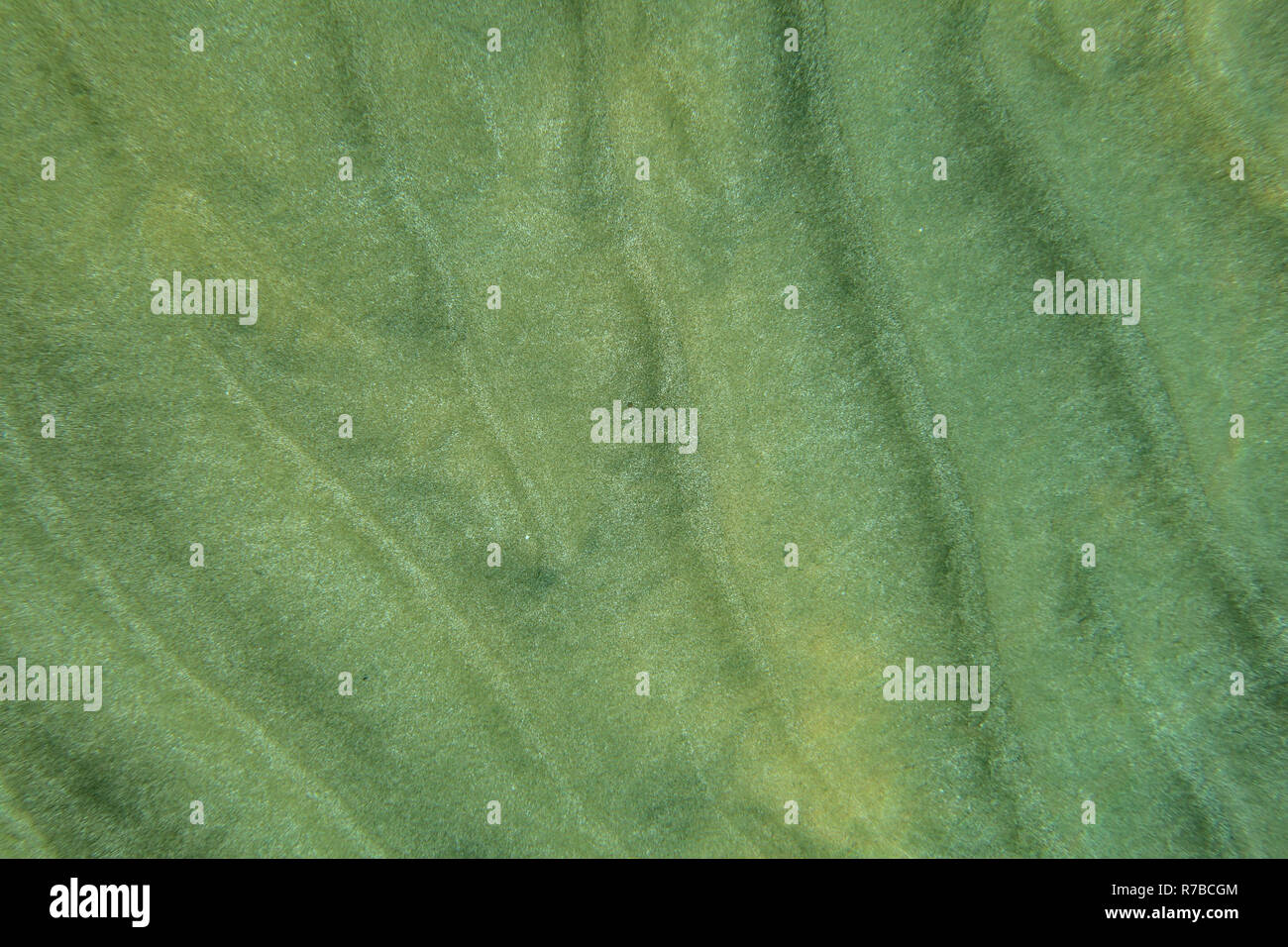 Sea bottom - sand "dunes" in shallow ocean water, underwater view from ...