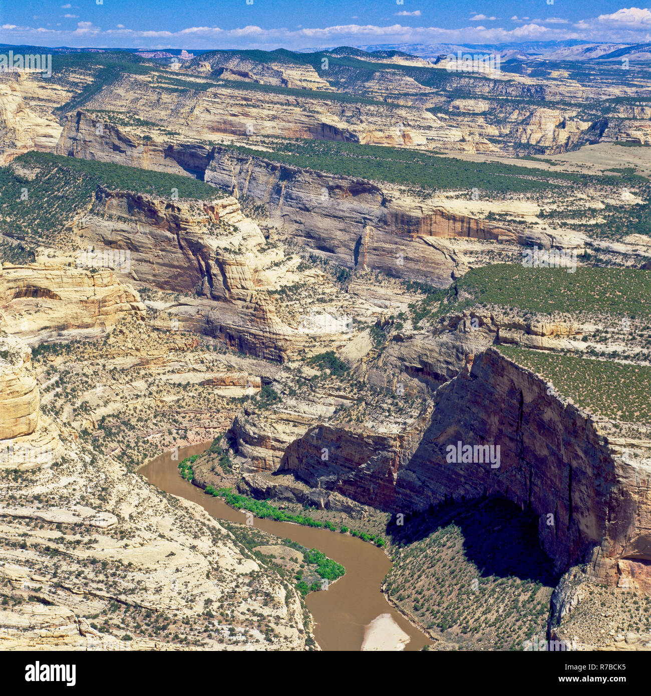 yampa river canyon viewed from harper's corner in dinosaur national ...