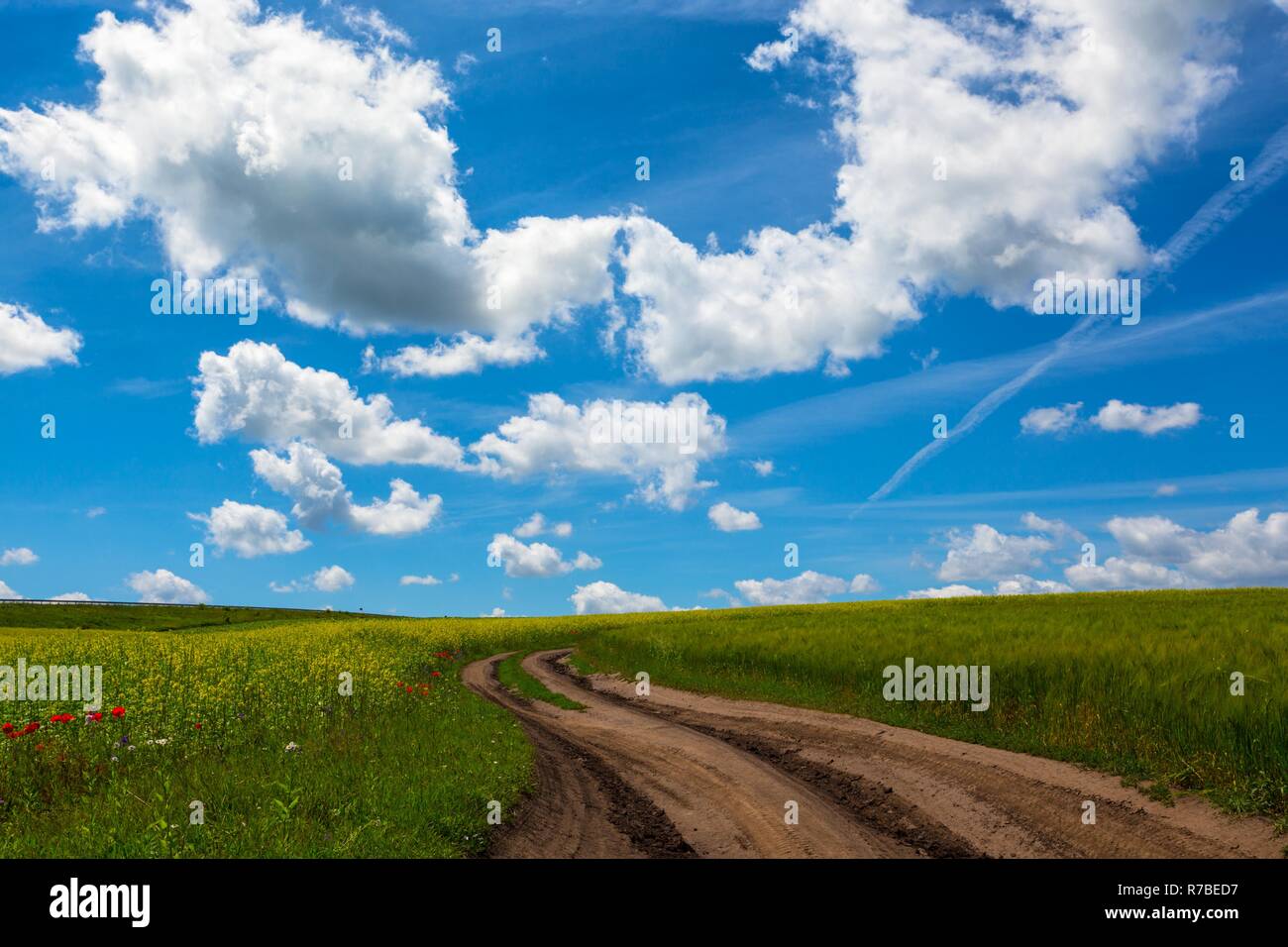 Ukrainian landscape. View on the field and beautiful sky with clouds ...