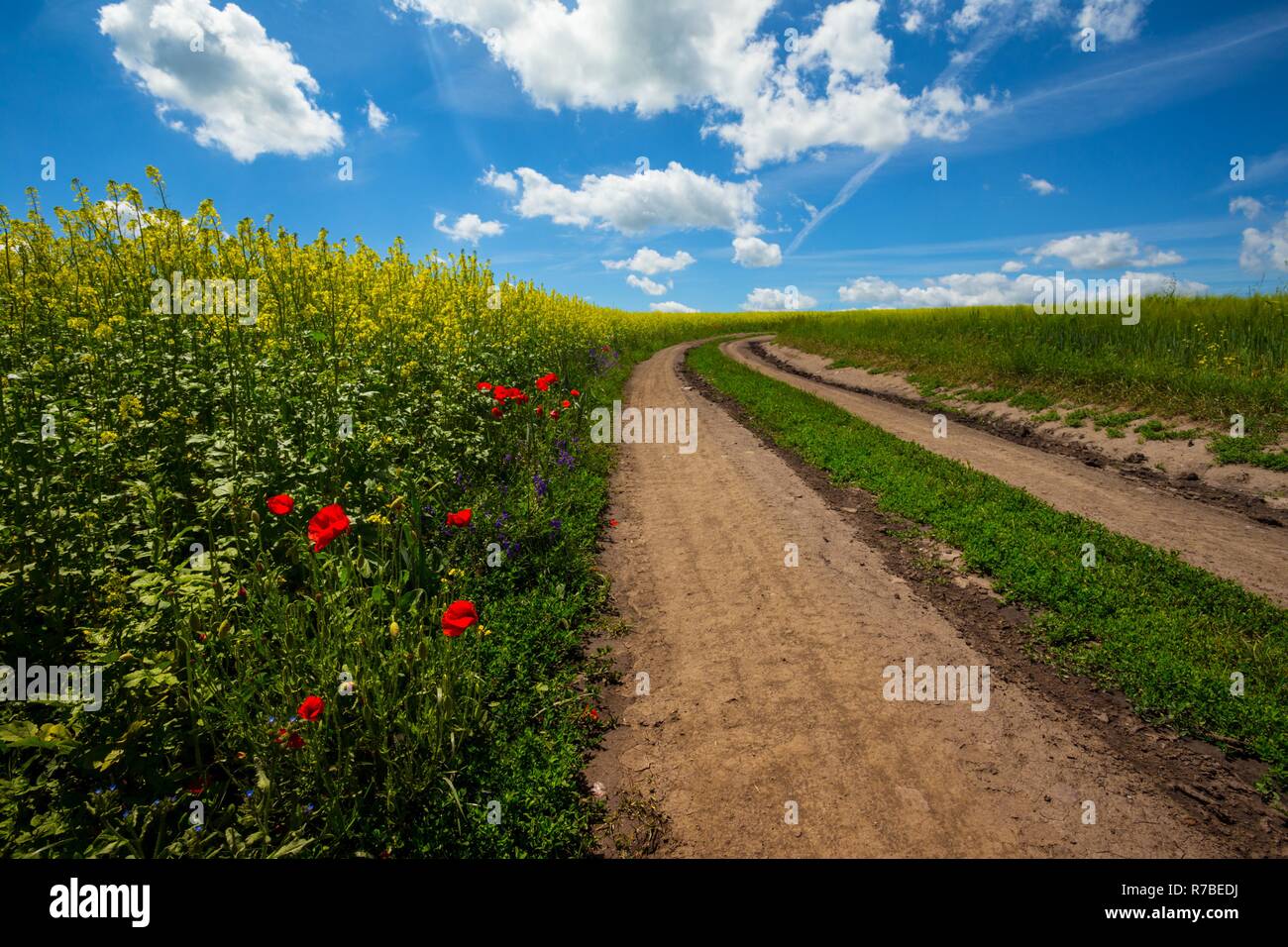 Ukrainian landscape. View on the field and beautiful sky with clouds ...