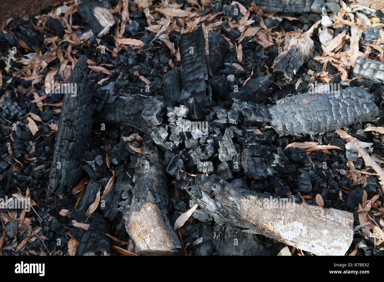 Burnt timber hi-res stock photography and images - Alamy