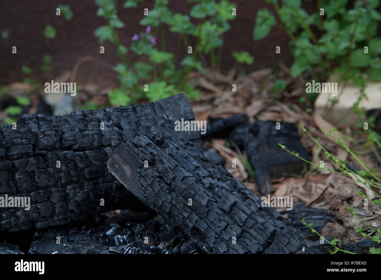 Burnt logs hi-res stock photography and images - Alamy