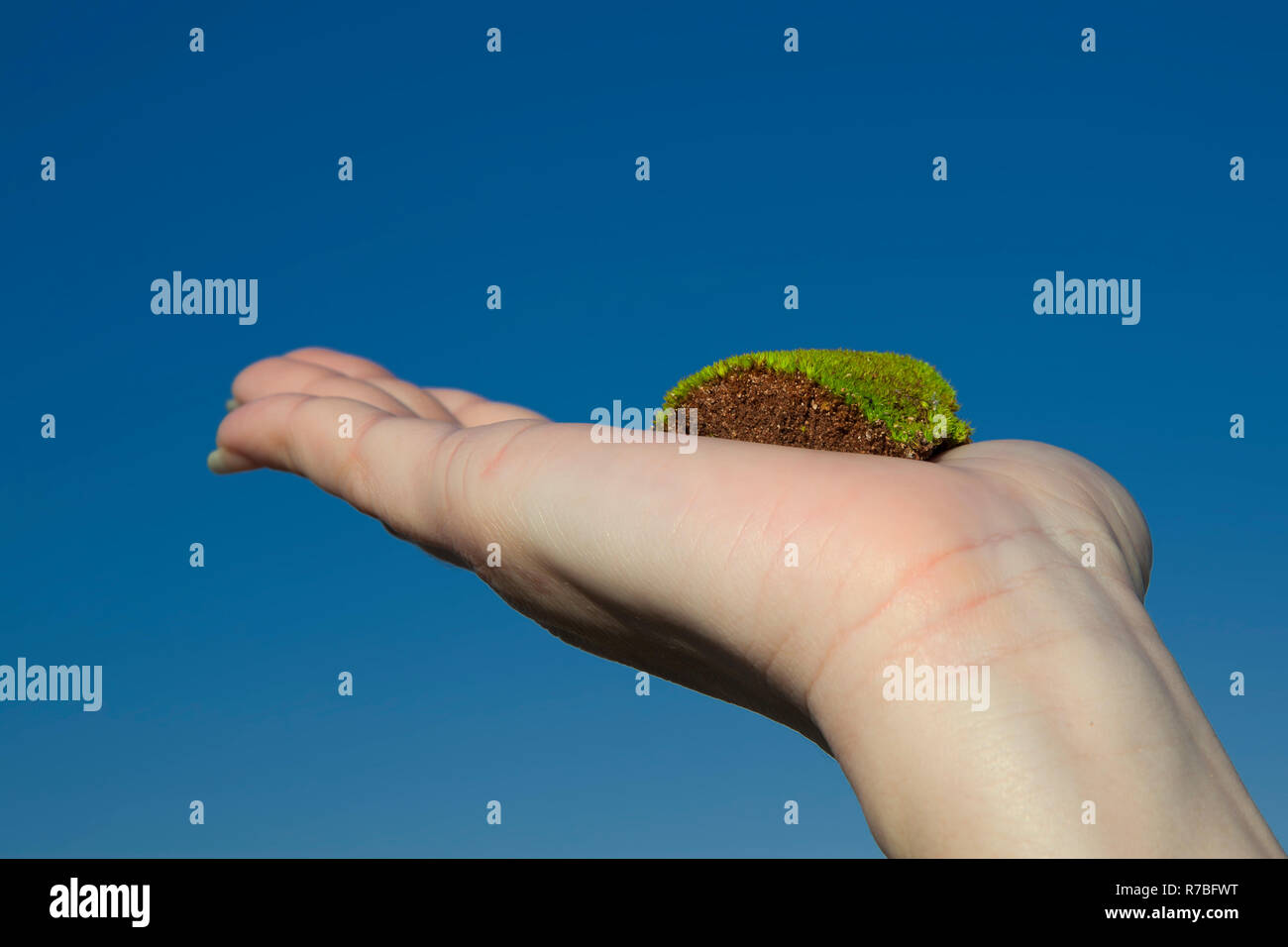 Sense of creation hi-res stock photography and images - Alamy