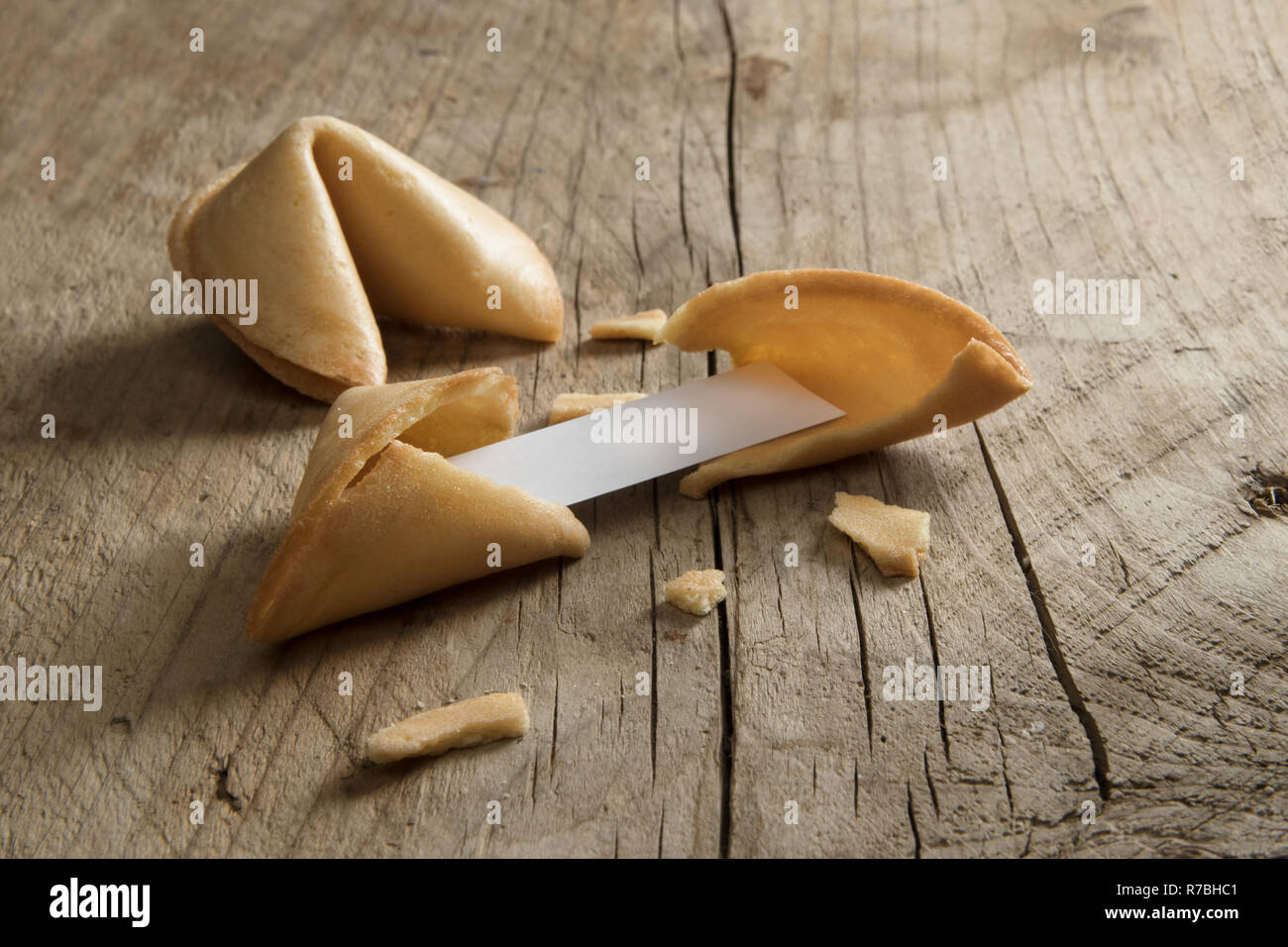 chinese fortune cookies with a blank paper slip for the prediction on a ...
