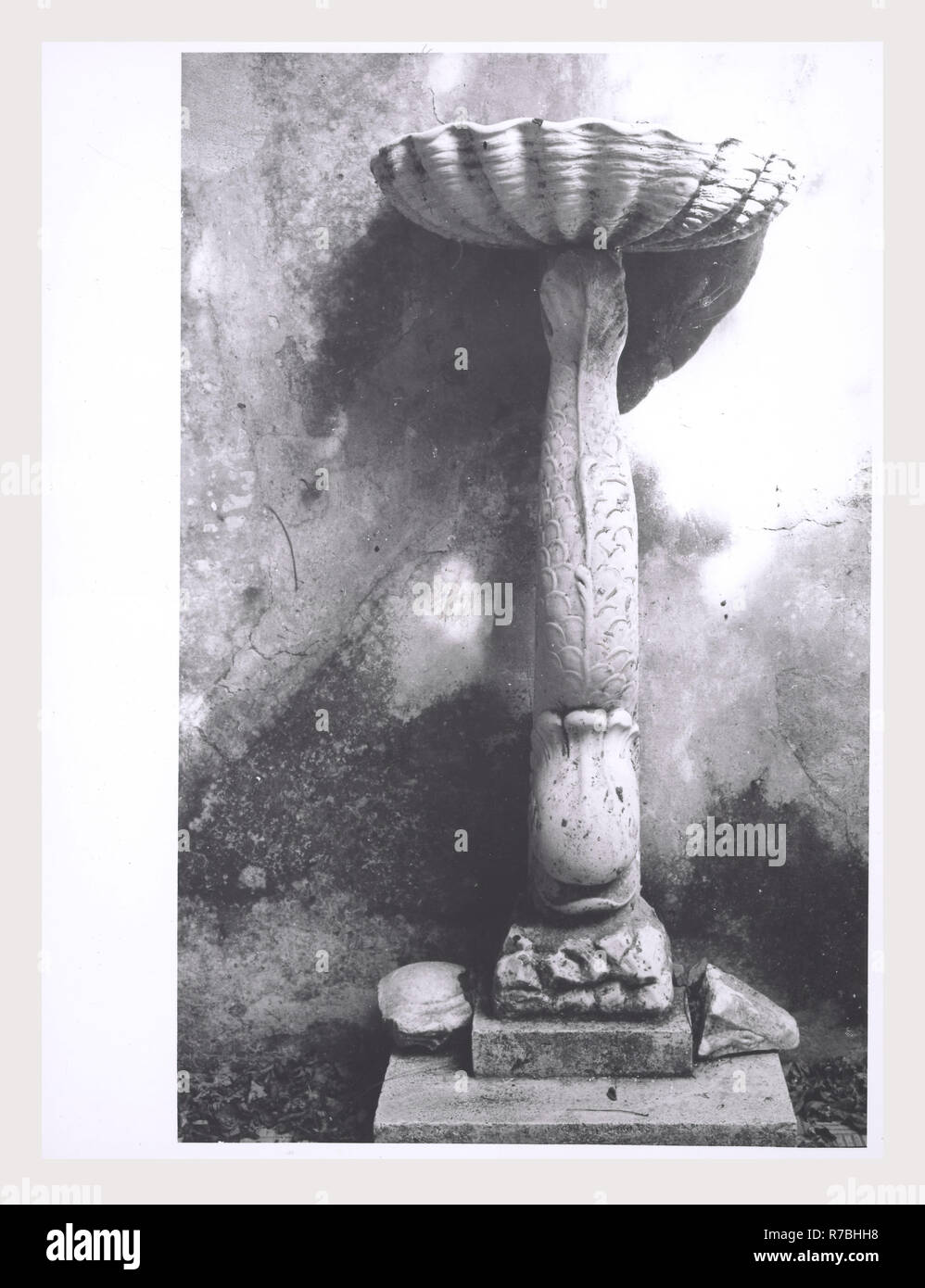 Lazio Roma Anzio Villa Spigarelli, this is my Italy, the italian ...